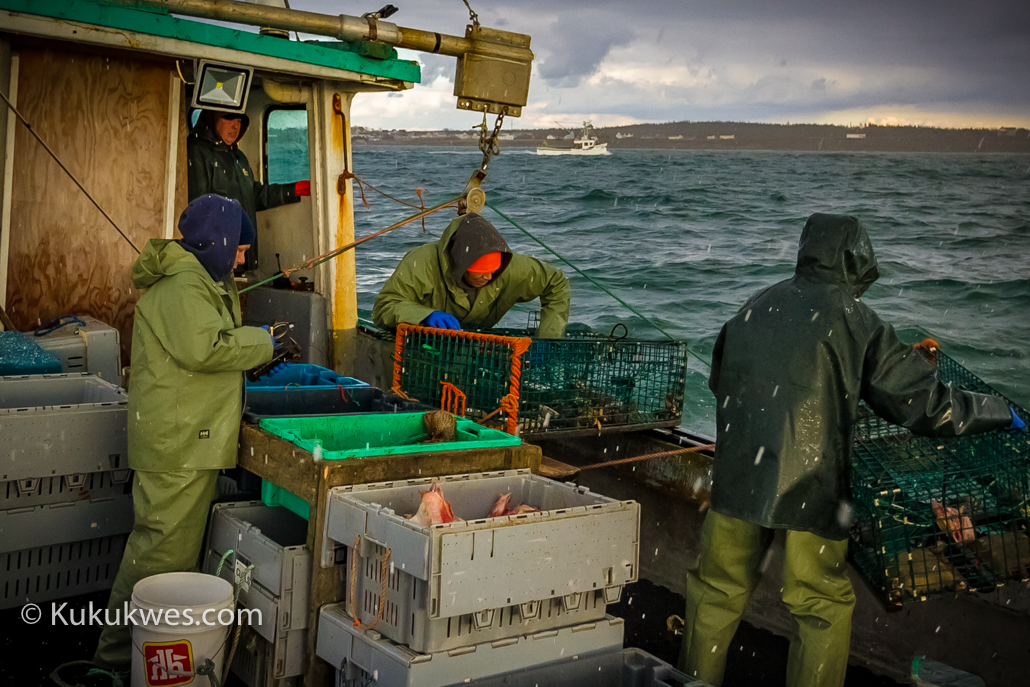 Sipekne'katik not contacted by DFO negotiator to discuss "moderate livelihood" fishery, says ...