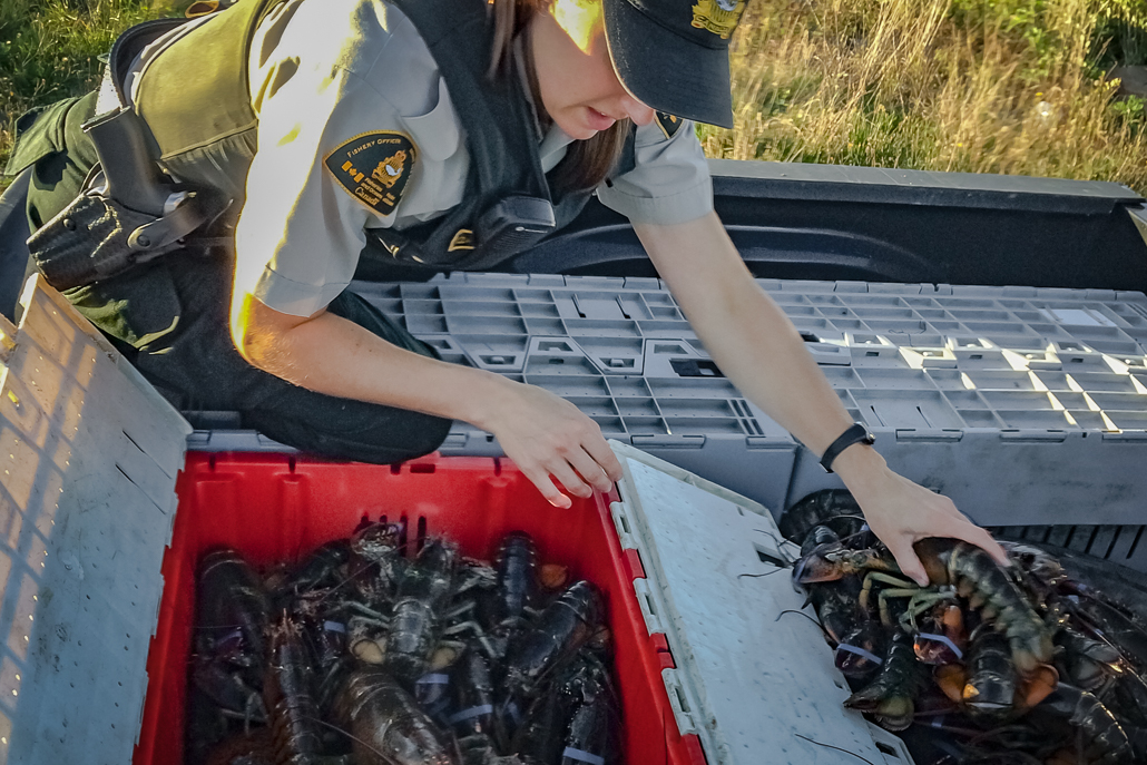 DFO in talks with Nova Scotia Mi’kmaw fishermen to settle lawsuit says ...